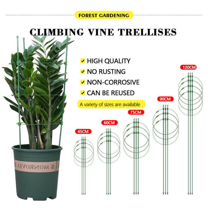 Climbing vine trellis plant support pole column clematis lotus season ...