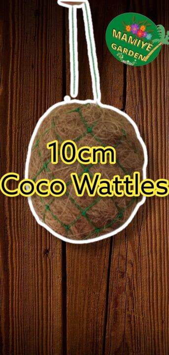 10cm Coco Wattles Best For Hanging Plants Highly Recommended Best ...