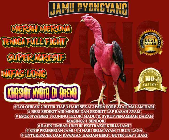 JAMU AYAM BANGKOK PYONGYANG. TERBAIK, PALING HEMAT, PALING CEPAT ... JAMU AYAM BANGKOK PYONGYANG. TERBAIK, PALING HEMAT, PALING CEPAT ...