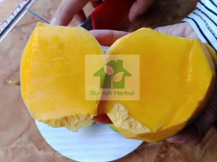 Buah mangga apel/mangga telur (Mardi) 1kg | Lazada Indonesia