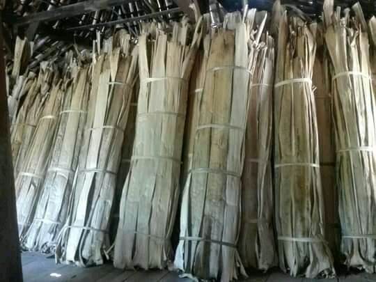 1 Lembar || Pelepah Pisang Kering Panjang 150 Cm | Lazada Indonesia