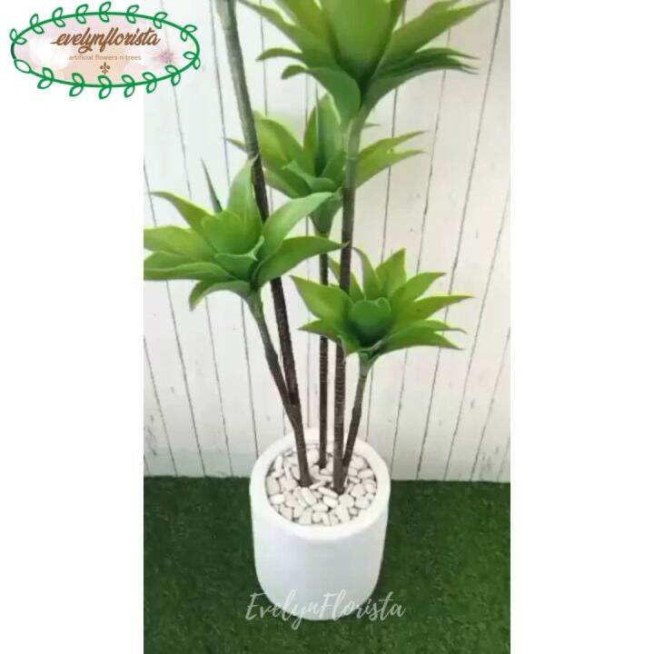 Pohon Artificial Tanaman Imitasi Agave Siklok Latex Pot Semen Silinder ...