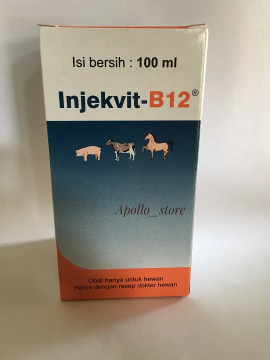 B12 INJEKSI | Lazada Indonesia