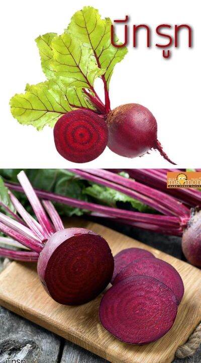 บีทรูทสด (beetroot) สำหรับคนรักสุขภาพ เนื้อแดงสวย | Lazada.co.th
