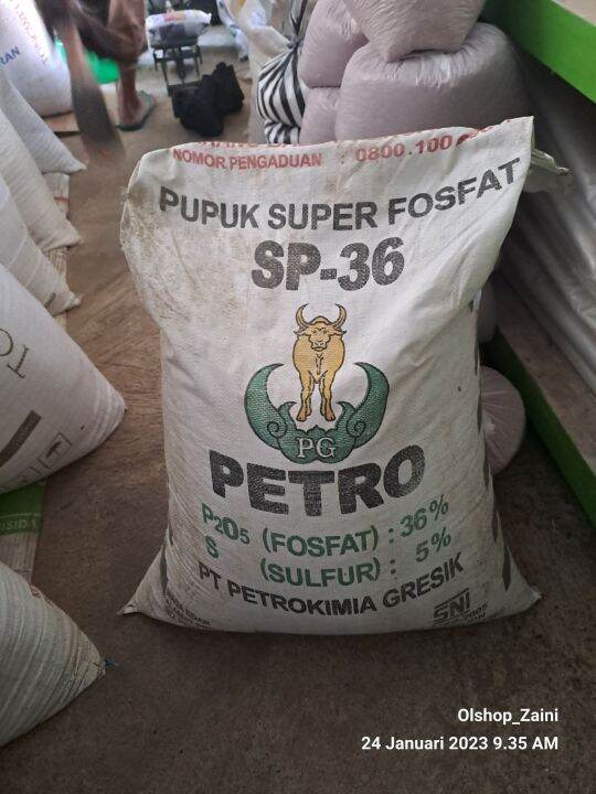 Pupuk PETRO SP-36 SUPER FOSFAT 1 kg, Percepat tumbuh akar daun bunga | Lazada Indonesia