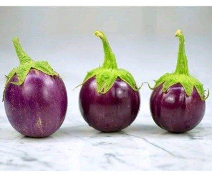 50 Biji - Benih Terong Ungu Bulat SRITI F1 - bibit Tanaman Sayur ...