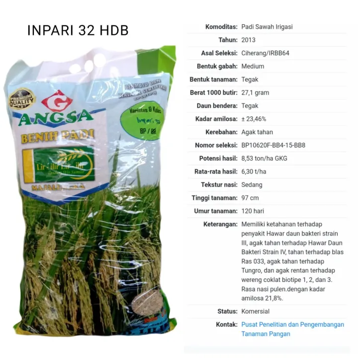 BENIH PADI INPARI 32 HDB | Lazada Indonesia