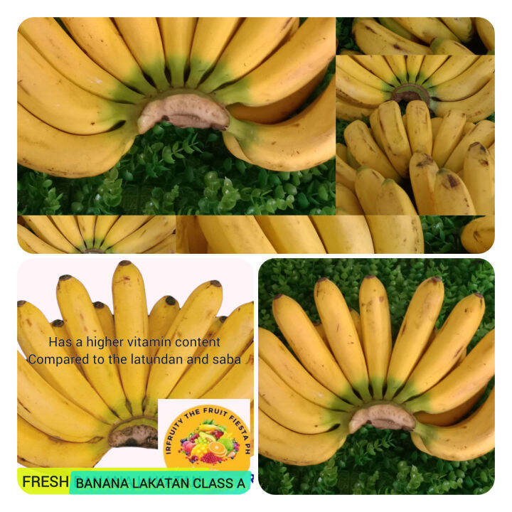 BANANA LAKATAN CLASS A ₱180 isang piling(1.5kls.) | Lazada PH