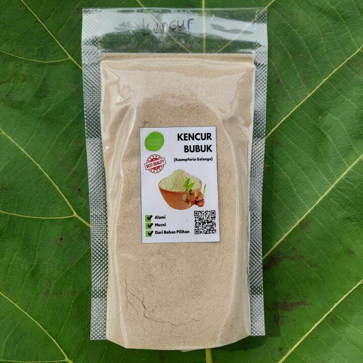 Serbuk Bubuk Kencur isi 100 Gram Kaempferia Galanga | Lazada Indonesia