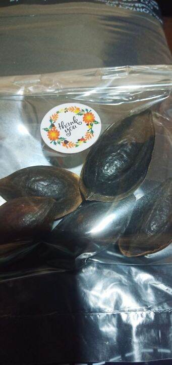 talisay seeds (Terminalia catappa seeds) | Lazada PH