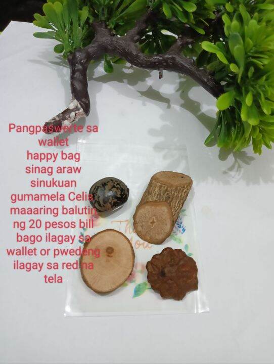 Pangpaswerte sa wallet sinag araw sinukuan gumamela Celis at happy bag ...