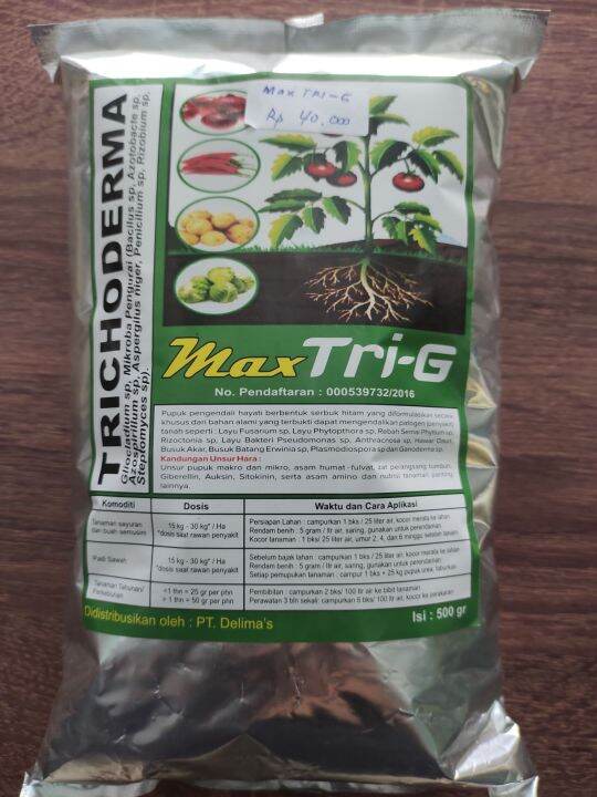 PUPUK TRICHODERMA MaxTri-G. 500 gram | Lazada Indonesia PUPUK TRICHODERMA MaxTri-G. 500 gram | Lazada Indonesia