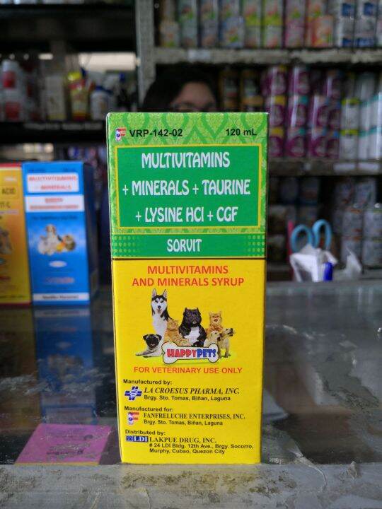 Sorvit Multivitamin Syrup 120ml | Lazada PH