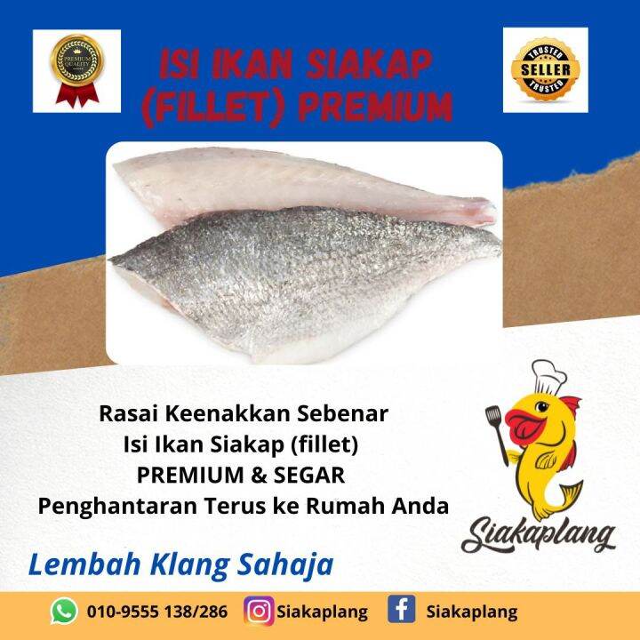 Isi Ikan Siakap (Sea Bass) Fillet Premium [400gm - 500gm] | Lazada