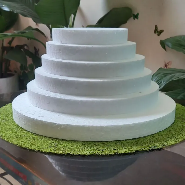 Round Styrofoam 1inch Thick in 6, 7 and 8 inches Diameter | Lazada PH