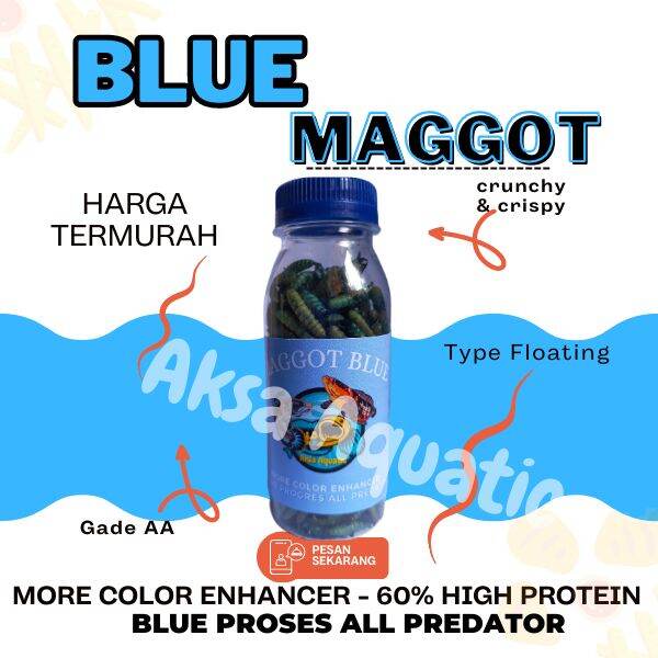 Blue Maggot magot kering Kemasan Botol 100ml | Lazada Indonesia
