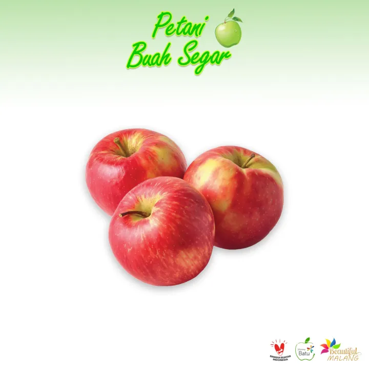 Apel Ana / Apel Batu / Apel Malang / Apel Besar 1kg | Lazada Indonesia