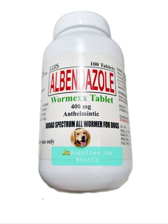 WORMEXX DEWORMER per tablet | Lazada PH