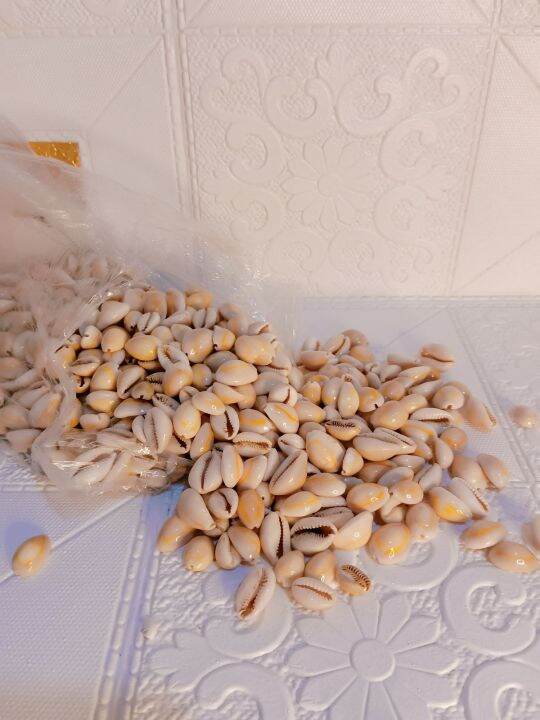 Sigay Shell/Sigay for Sungka 100pcs | Lazada PH