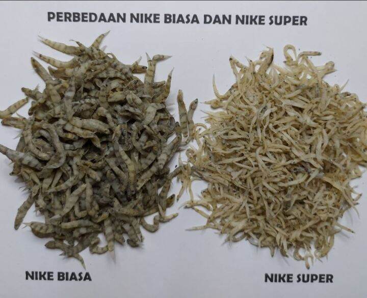 500 gr ikan nike super/ ikan kering/ penja kering super/ duo kering ...