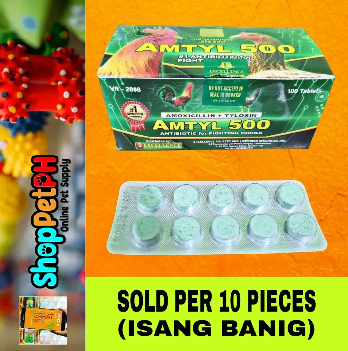 AMTYL 500 AMOXICILLIN + TYLOSIN ANTIBIOTIC FOR FIGHTING COCKS (SOLD PER ...