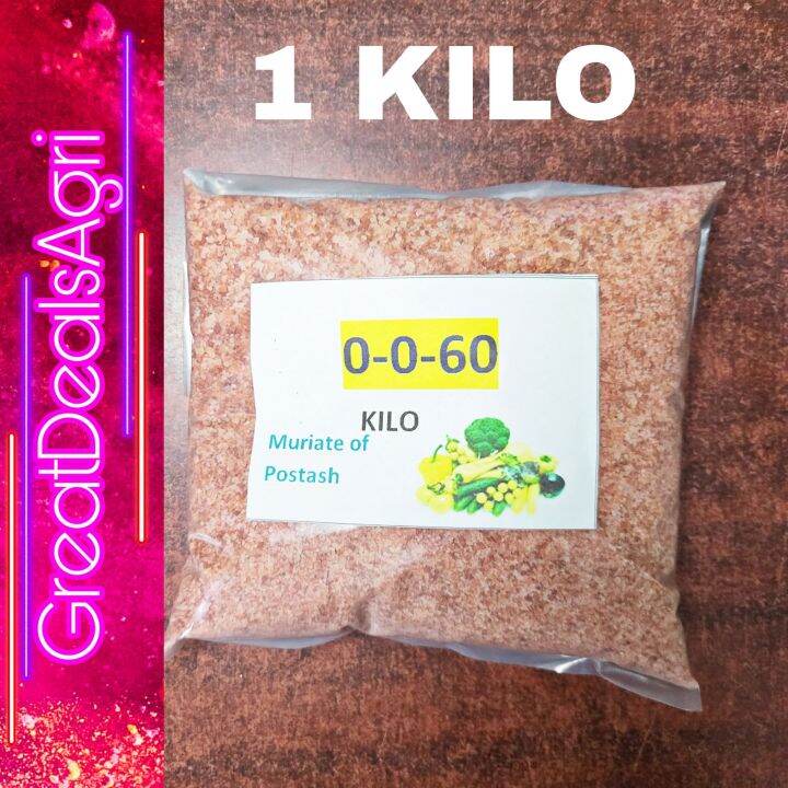 0-0-60 MURIATE OF POTASH (1 KILO) AMIGO PLANTERS | Lazada PH