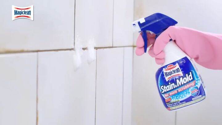 KAO Magiclean Stain & Mold | removes and wipes out stubborn stains and ...