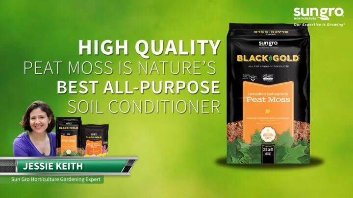Peat Moss Black Gold Natural & Organic Canadian Sphagnum Peat Moss Plus ...