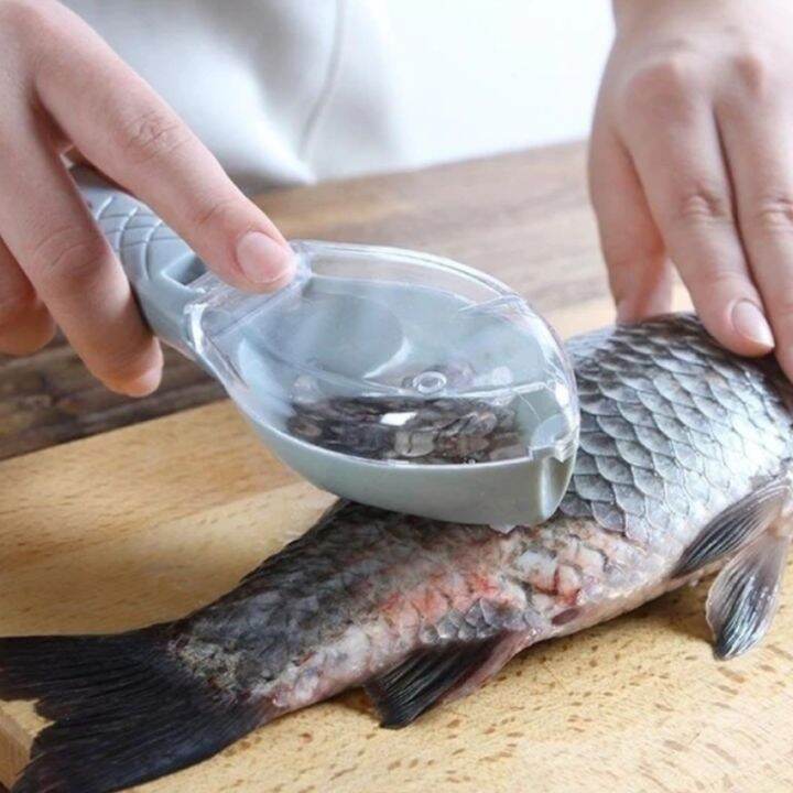 CUTE FISH SCALE REMOVER Iwas Talsik Tanggal Kaliskis Fish Scaler With ...