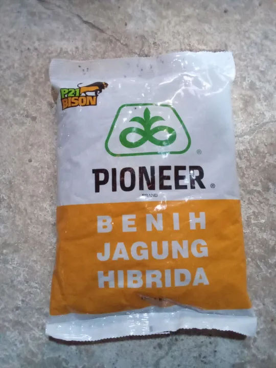 benih jagung hibrida pioner P21 BISON kemasan 1kg | Lazada Indonesia