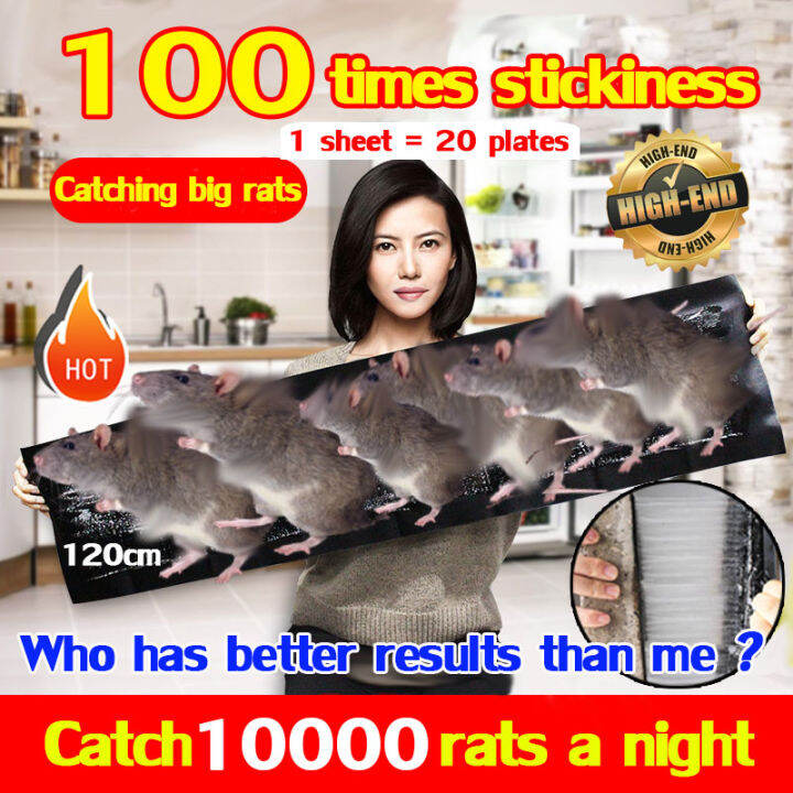 🐀Catcher 10000 rats in 1 night🐀 mouse rat trap100 times viscosity super ...