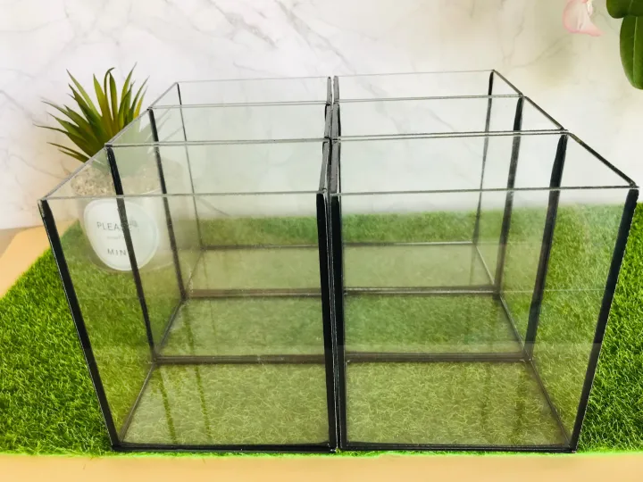 โลปลากัดขนาด 3x5x6 ราคาถูกก มีกาวใส-กาวดำ กระจกหนา 3 มิล | Lazada.co.th