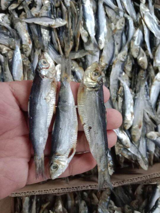 Salinyasi Dried Fish 250g | Lazada PH