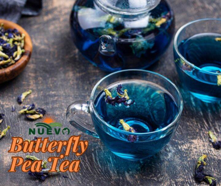 Blue Butterfly Pea Tea | Blue Ternate | Blue Tea | Lazada PH