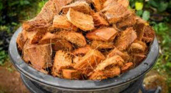 Coco Cubes-Chunks for plants | Lazada PH