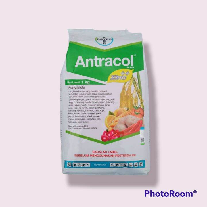 Fungisida Antracol 70 WP 1 kg | Lazada Indonesia