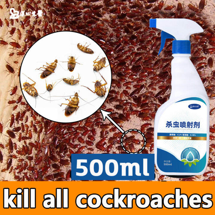 👍 10 years cockroach free 👍 Cockroach killer spray 500ml cockroach ...