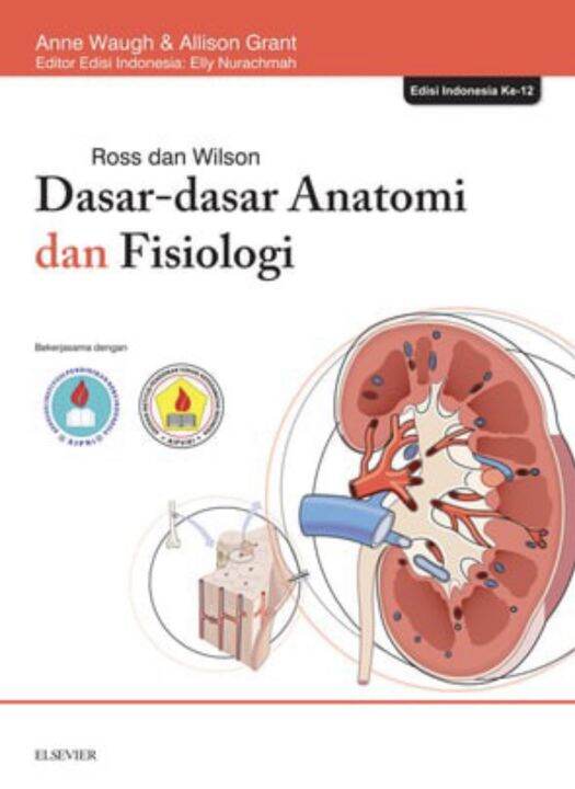 [ Original ] Dasar - Dasar Anatomi dan Fisiologi 12e - Elsevier | Lazada Indonesia
