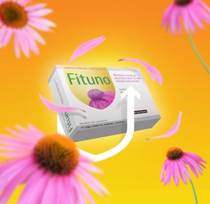 Fituno box 30 tablet/fituno box 30 kaplet/fituno original | Lazada ...