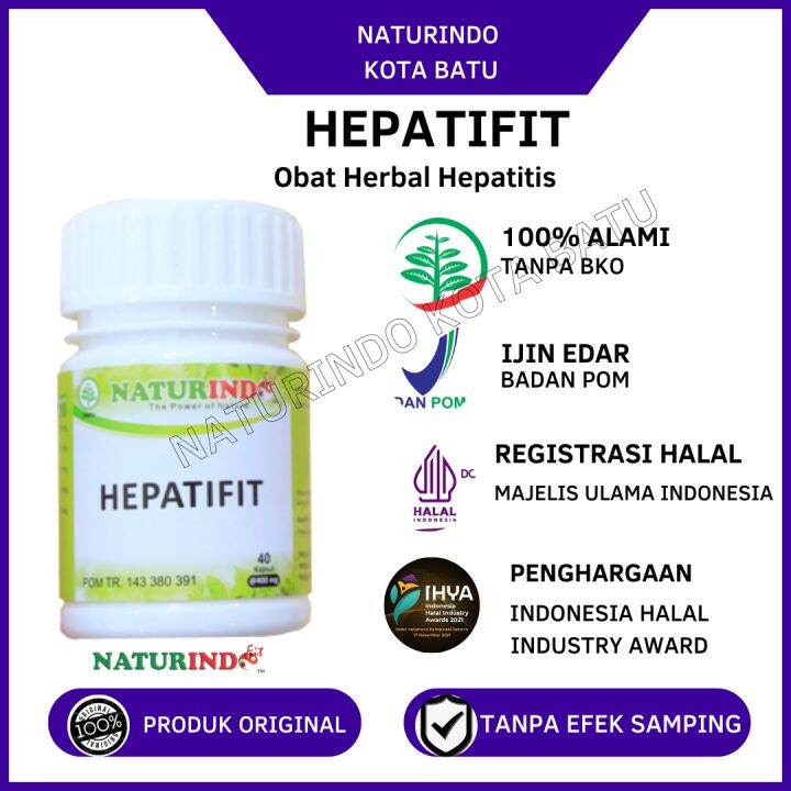 Obat Herbal Fungsi Hati Liver Hepatitis Pankreas Tifus Tipes Obat Batu ...