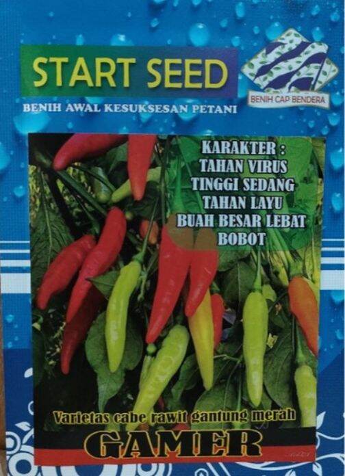 benih rawit tahan virus GAMER buah lebat pedas dan bergerombol 10gram ...