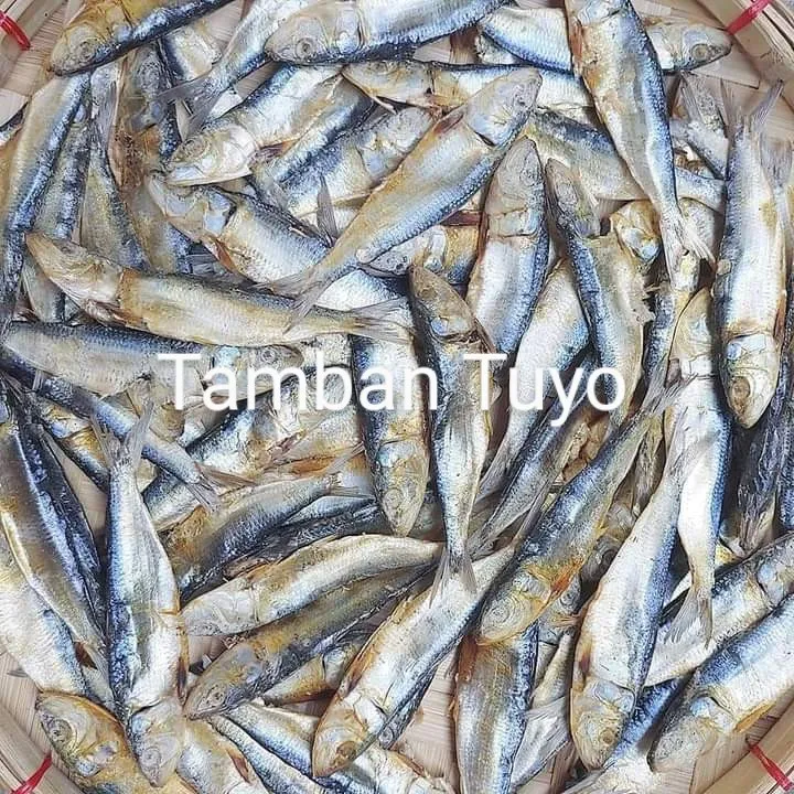 TAMBAN TUYO / DRIED FISH TAMBAN 1/2 KILO | Lazada PH