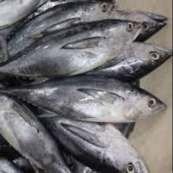 Ikan Sisik Hitam ( 0.8 kg - 1.5 kg ) | Lazada Indonesia