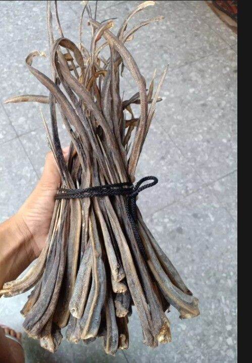 buntot ng pagi pangontra sa maligno aswang mga masasamang elemento ...