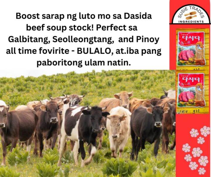 Premium Dasida Beef Soup Stock - 500g: Savory and Aromatic | Lazada PH