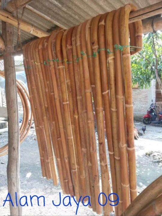 Tongkat Rotan Asli | Lazada Indonesia