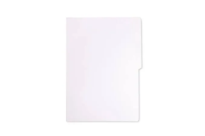 WHITE FILE FOLDER A4 SHORT LONG 14 POINTS | Lazada PH