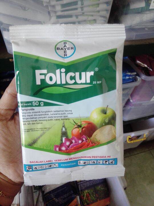 Folicur 50gr fungisida pestisida Obat pertanian dan obat sawah | Lazada ...