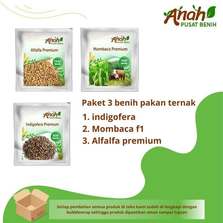 Benih pakan ternak 3 paket lebih murah - benih indigofera benih mombaca ...
