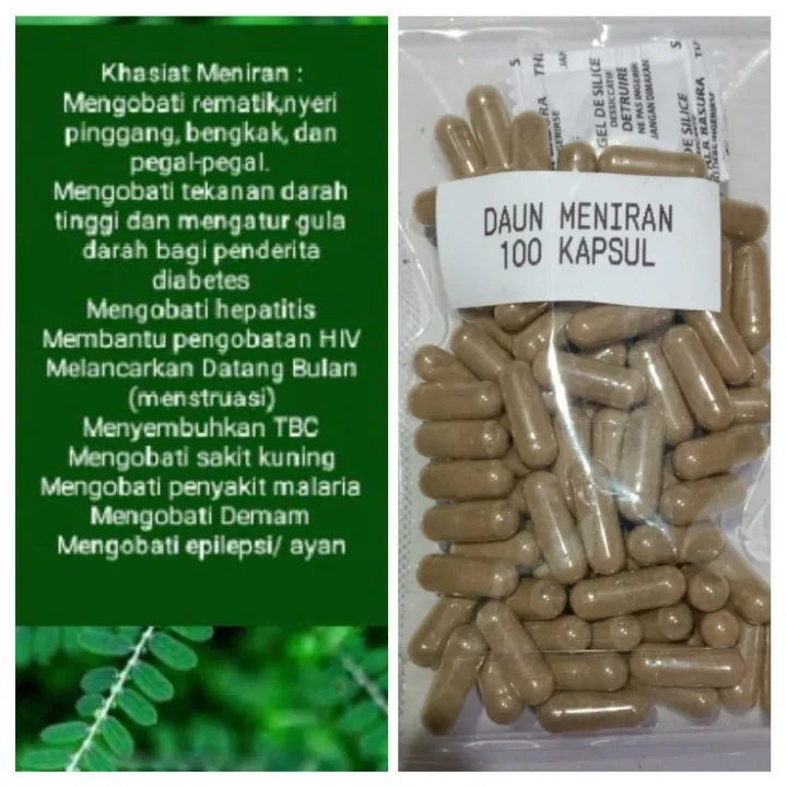 kapsul MENIRAN isi 100 pcs untuk diabetes rematik | Lazada Indonesia